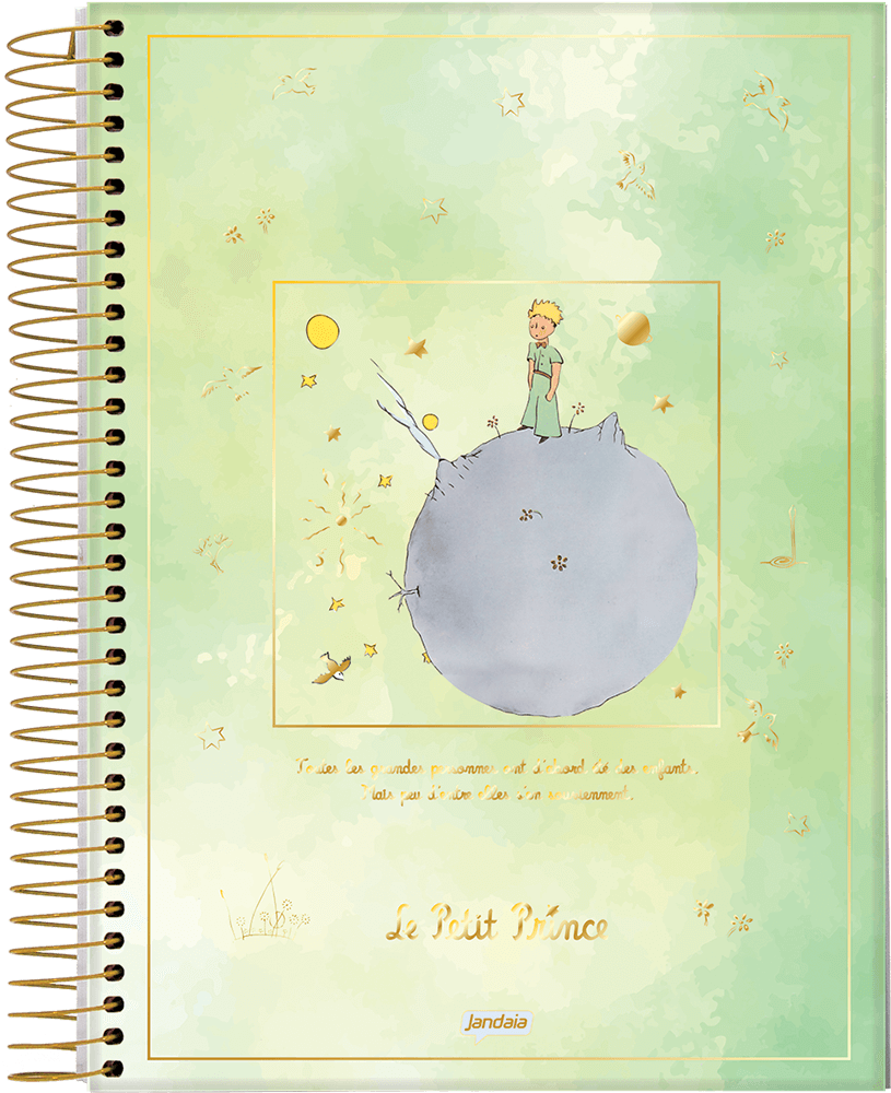 CADERNO ESPIRAL COLLEGE – O PEQUENO PRINCIPE – Jandaia