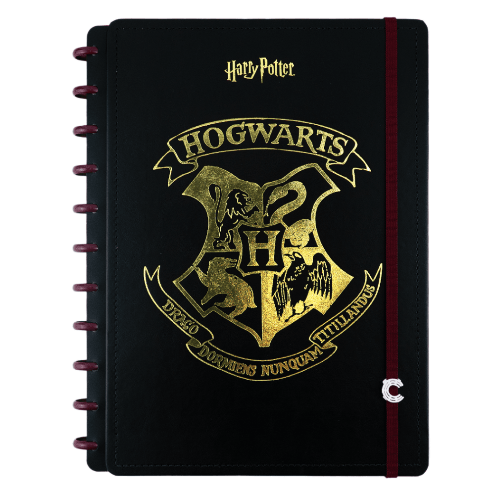 CADERNO INTELIGENTE UNIVERSITÁRIO – HARRY POTTER – Jandaia