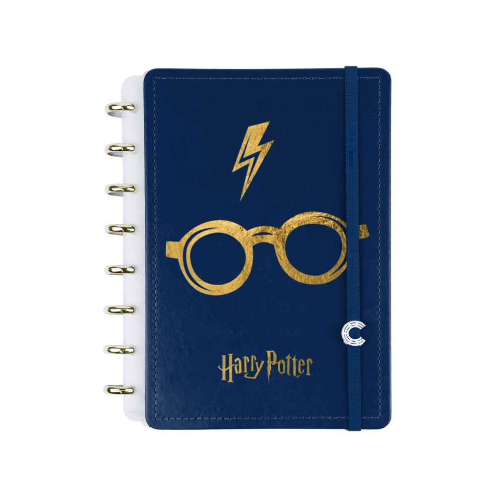 CADERNO INTELIGENTE UNIVERSITÁRIO – HARRY POTTER – Jandaia